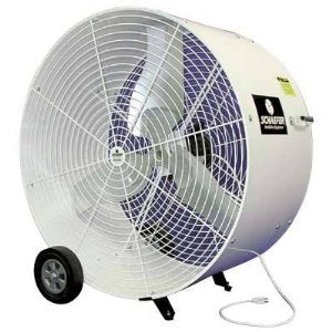 36" White Floor Fan - Asheville, NC - Rent All Inc